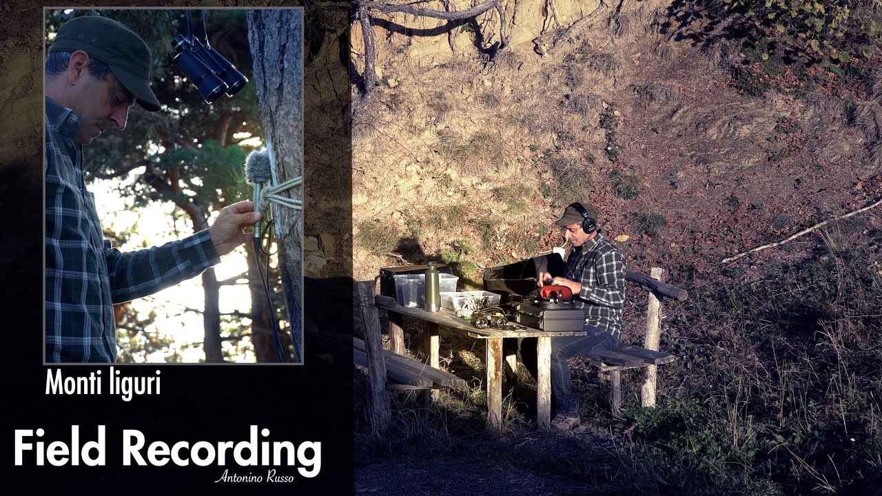 field recording nature - YouTube