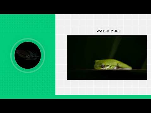 Voicemod & SFX Setup using Elgato Wavelink & Stream Deck - YouTube