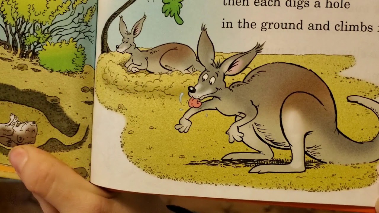 Why Oh Why are Deserts Dry? By Tish Rabe - YouTube