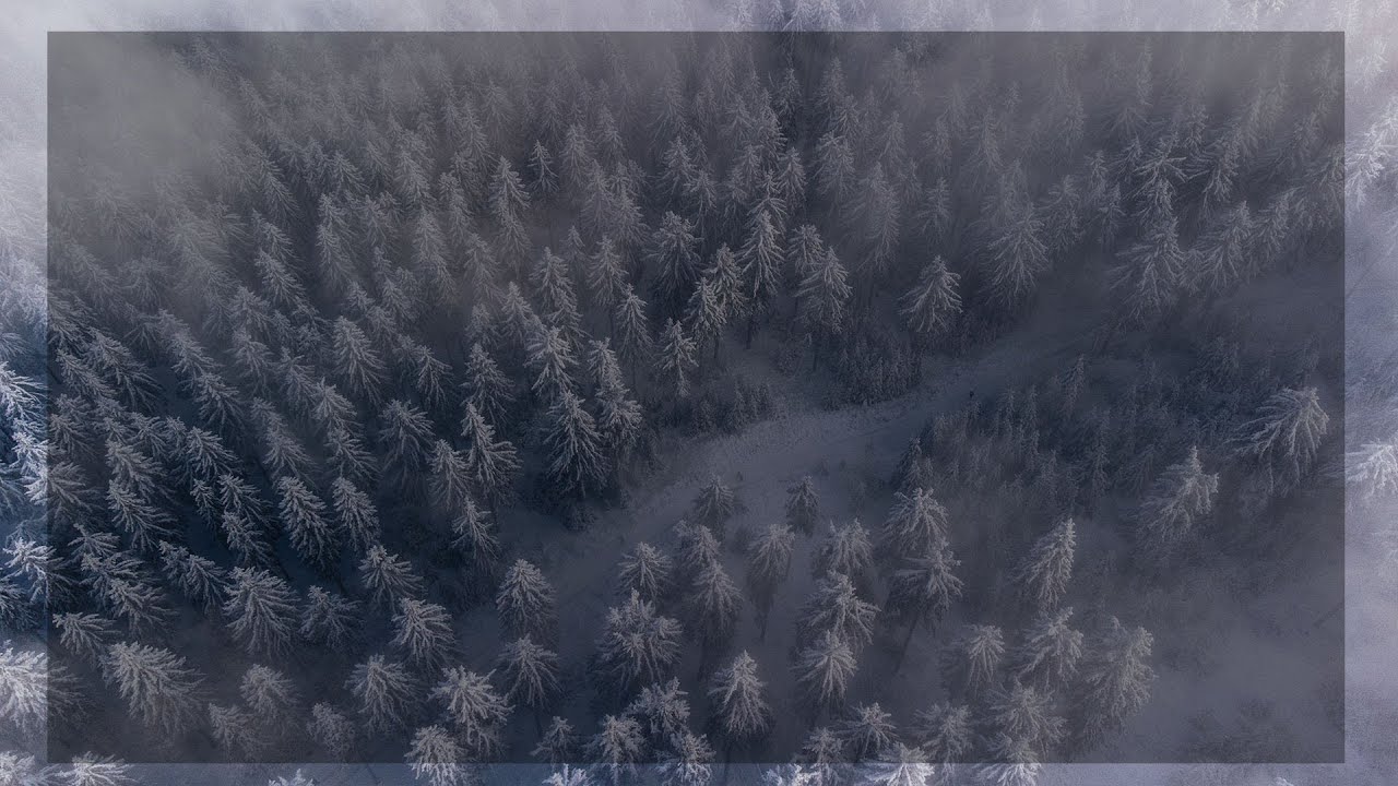 Whole Heart (SNOWBLAST 2024) - YouTube