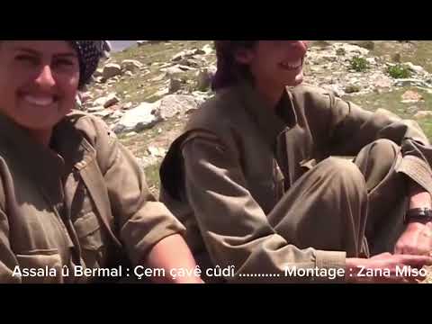 Assala û Bermal : Çemê çavê cûdî
