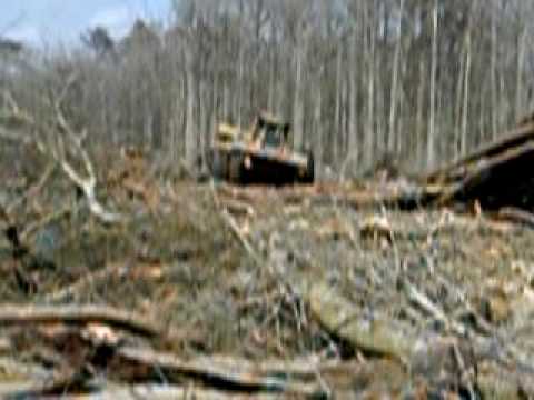 Tigercat 620 skidder following the 635C - YouTube