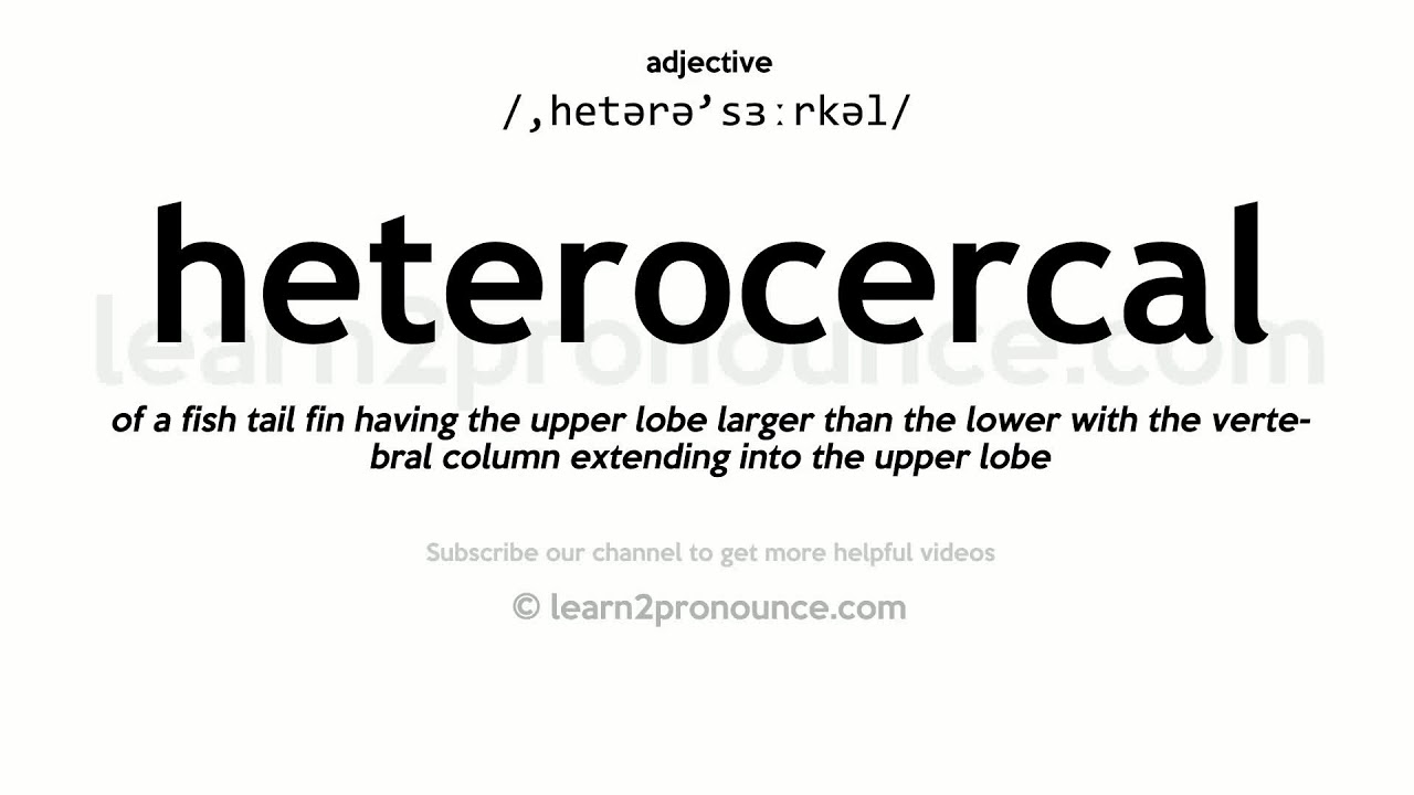 Pronunciation of Heterocercal | Definition of Heterocercal - YouTube
