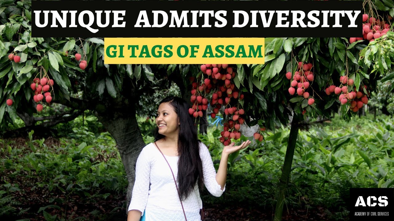 GI TAGS OF ASSAM | APSC | UPSC | ACS - YouTube