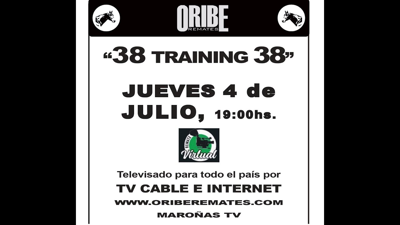 04/07/24 TRAINING JULIO - 38 EJEMPLARES | ORIBE REMATES - YouTube