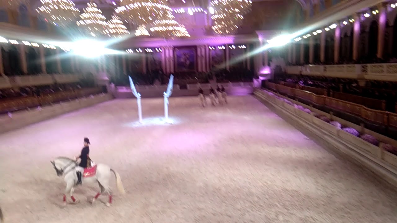 Horse performance show event -6 - YouTube