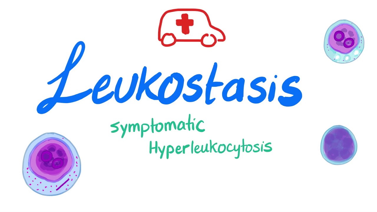 Leukostasis (Symptomatic Hyperleukocytosis) - YouTube