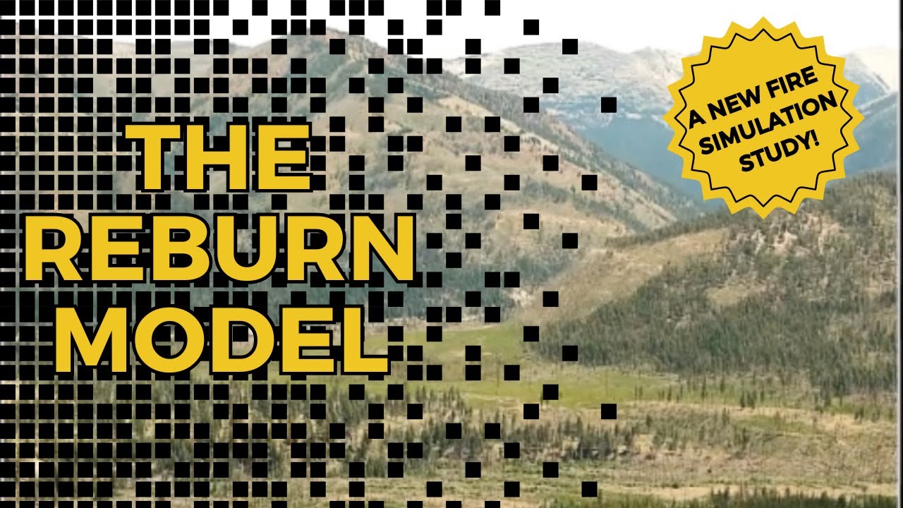 The REBURN Model: Simulating forest and fuel succession and disturbance dynamics of large ...