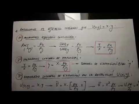 G1 E4 P2: Función de demanda compensada (Demanda Hicksiana). - YouTube