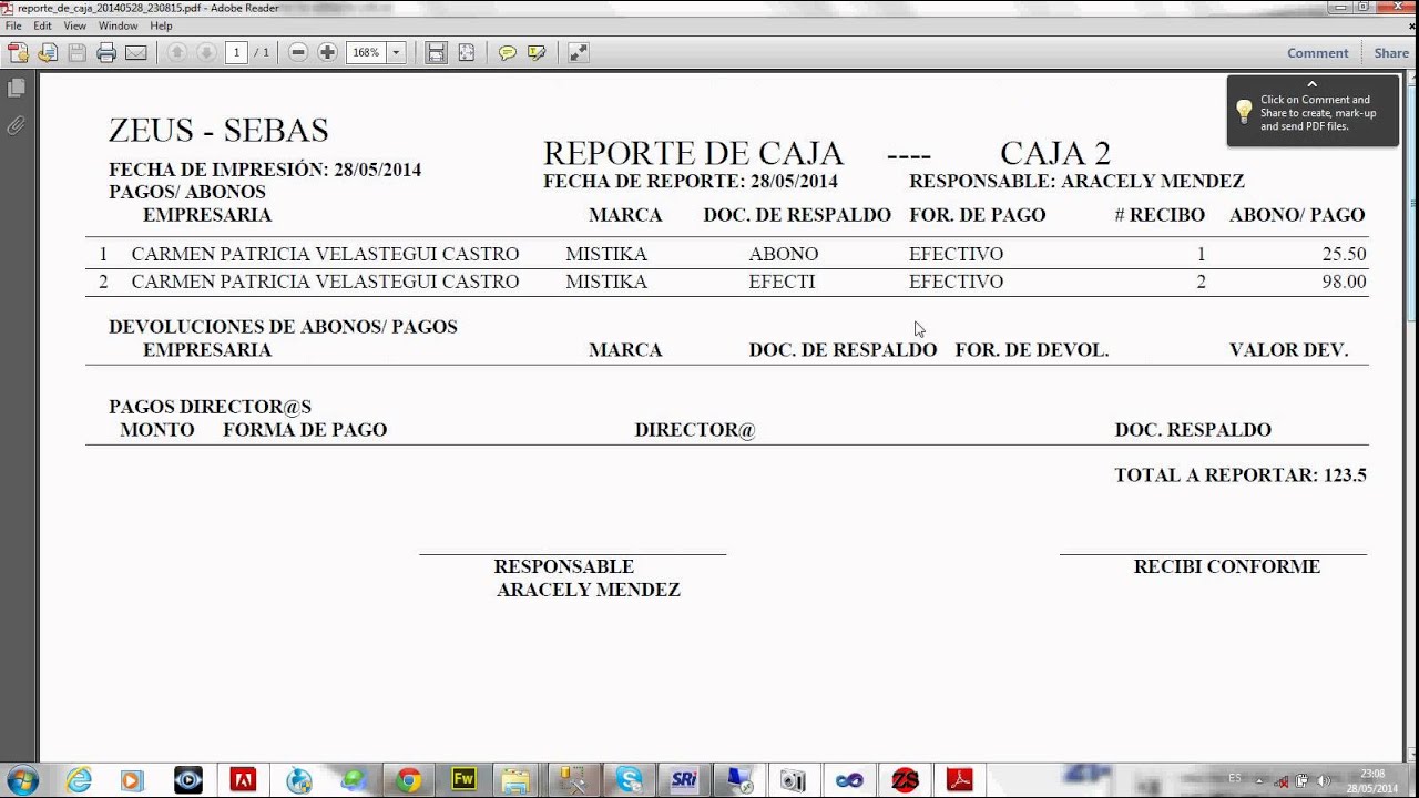 Hoja De Reporte Diario