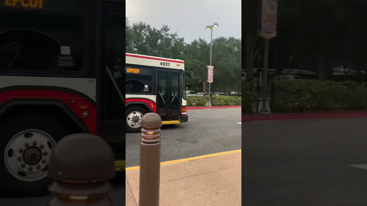 Epcot bus at Disney’s all star music resort - YouTube