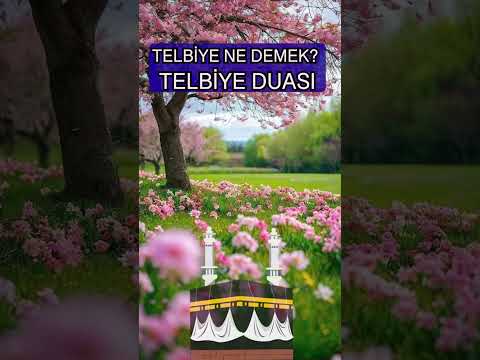 Telbiye (Lebbeyk) Duası, Nedir nasıl okunur? Telbiyenin Anlam ve Fazileti