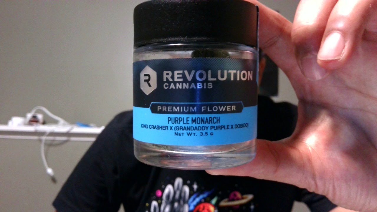 Strain Review: PURPLE MONARCH BY REVOLUTION (ILLINOIS) - YouTube