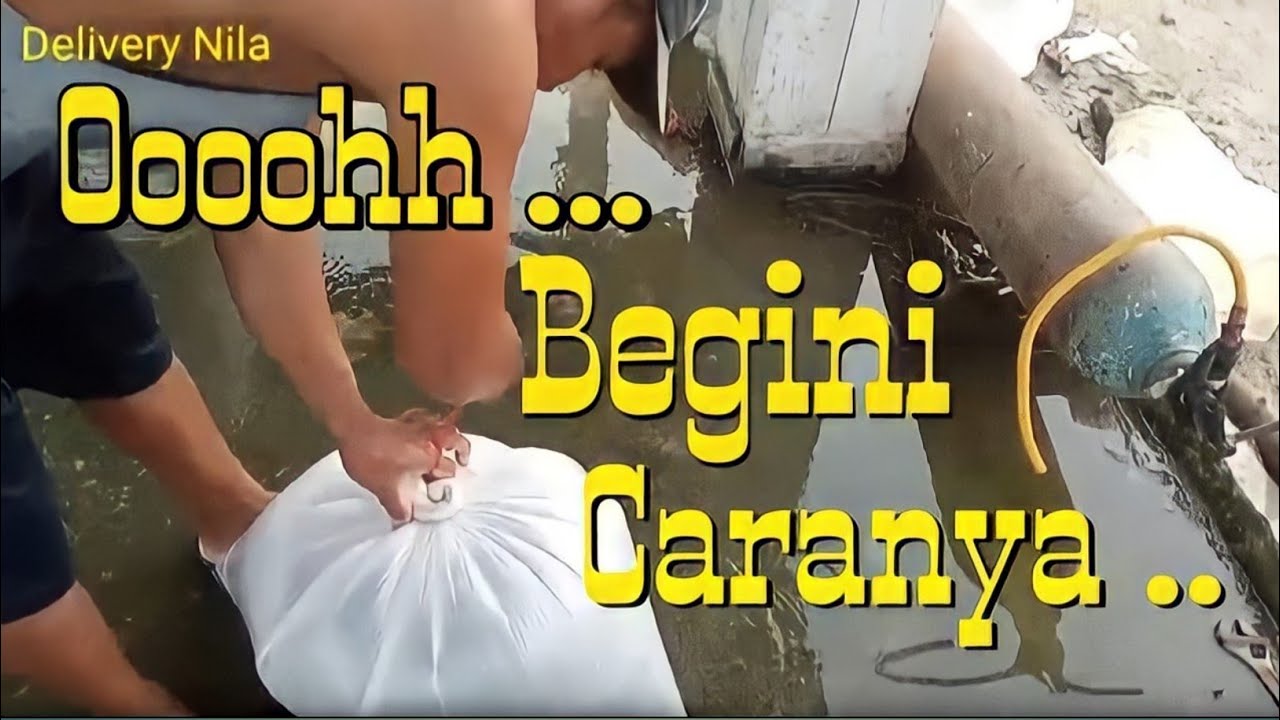 Cara Packing ikan nila ..!!! packing ikan nila tahan berapa jam ...