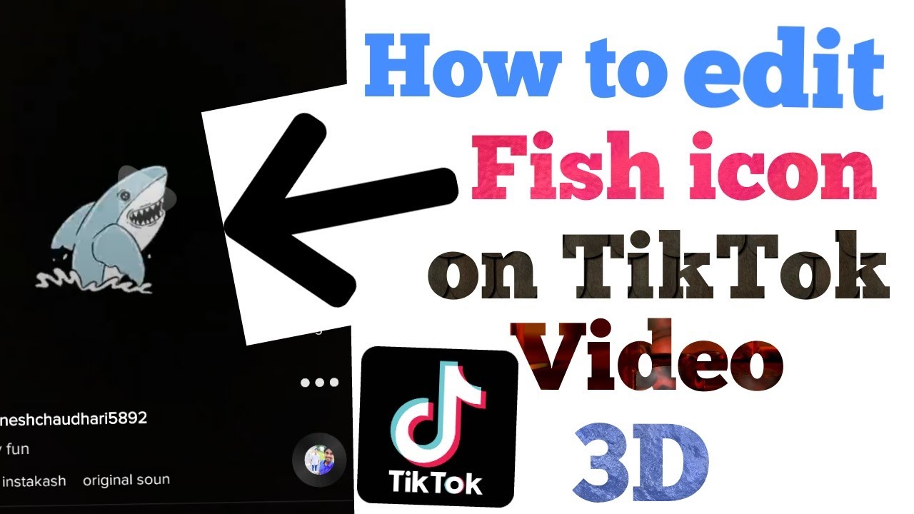 How to get fish Icon on Tik Tok | New 2019 - YouTube
