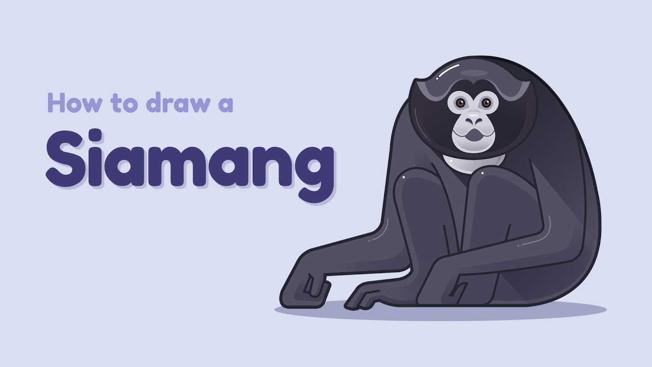 How to draw a Siamang? Easy and simple drawing | Animal character ...