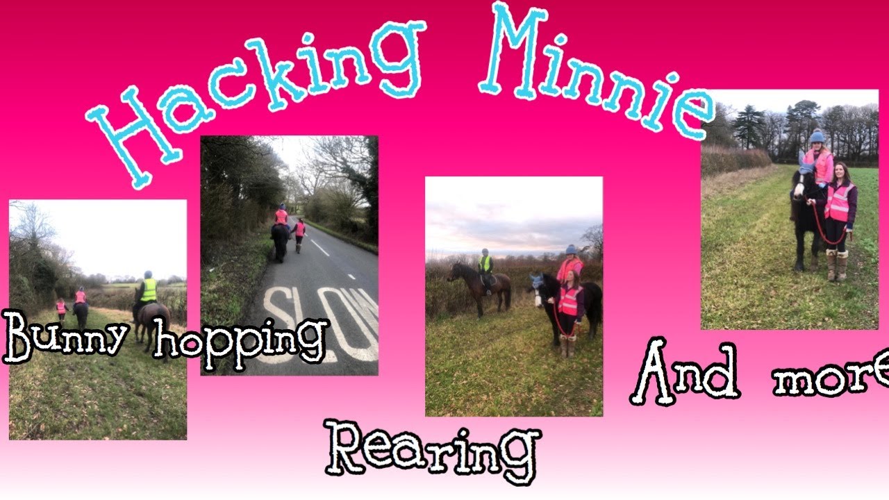 Hacking Minnie - YouTube