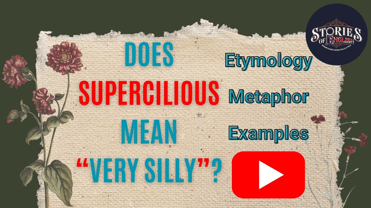Does SUPERCILIOUS mean "very silly"? Learn the Etymology So You Never ...