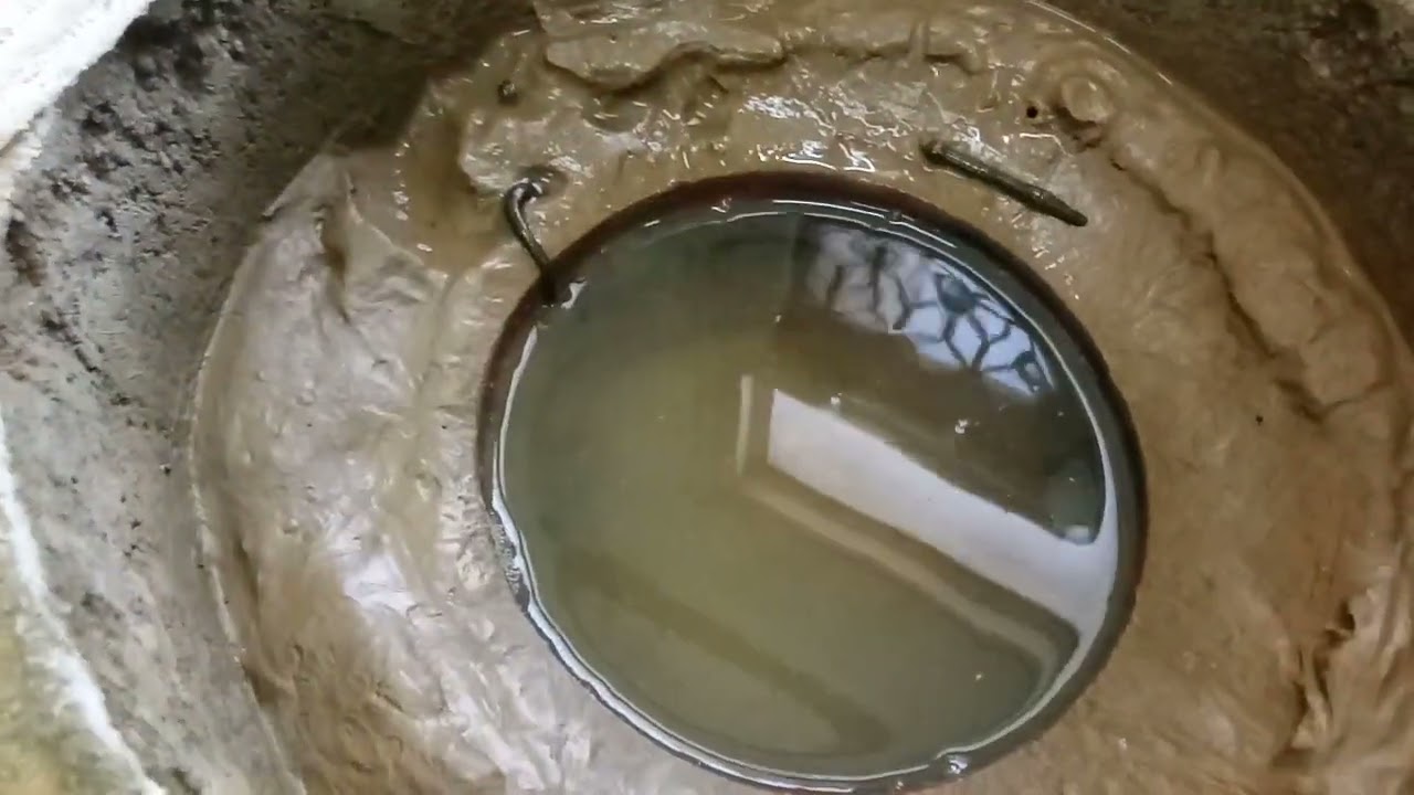 How the Leeches reside within mud. ...Leech farming.. Leech therapy ...