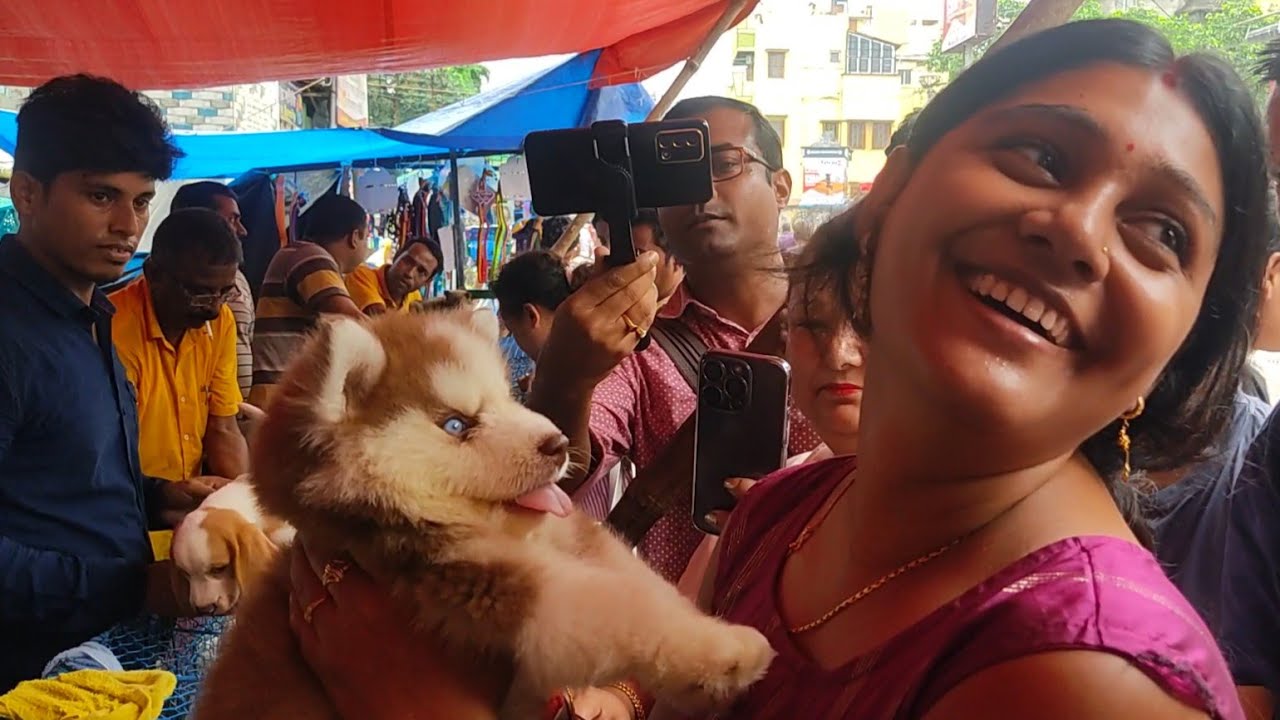Galiff Street Pet Market Kolkata | dog market in kolkata | Dog Price ...