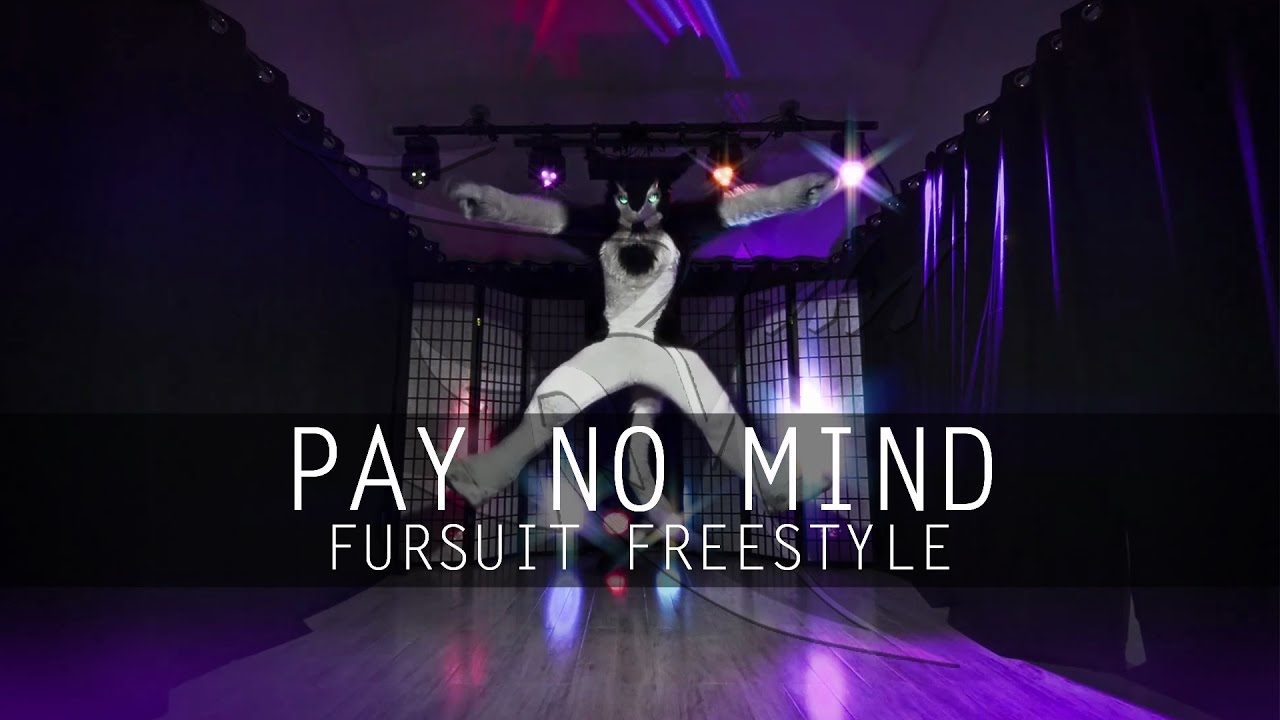 Rinn - Pay No Mind (Madeon) Sergal Fursuit Dance - YouTube