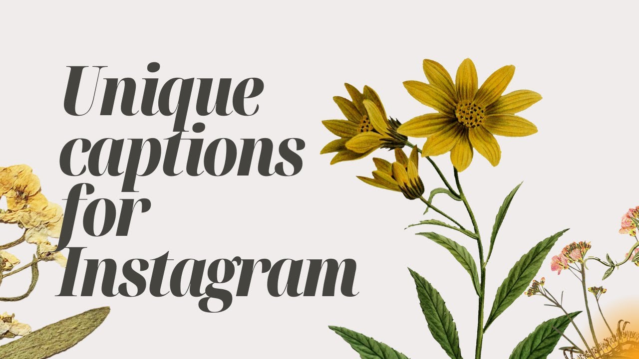 Unique captions for instagram | Catchy instagram caption ideas ...