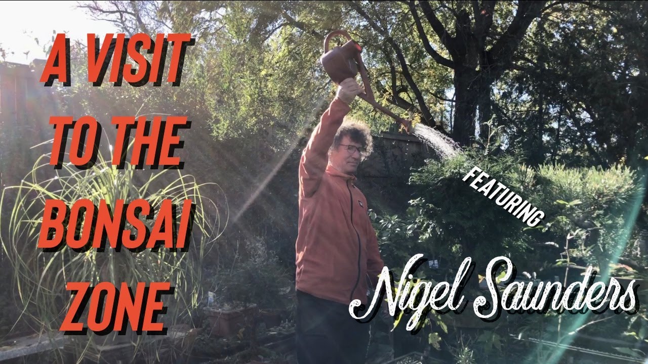 A Fall Visit to The Bonsai Zone - featuring Nigel Saunders! - YouTube