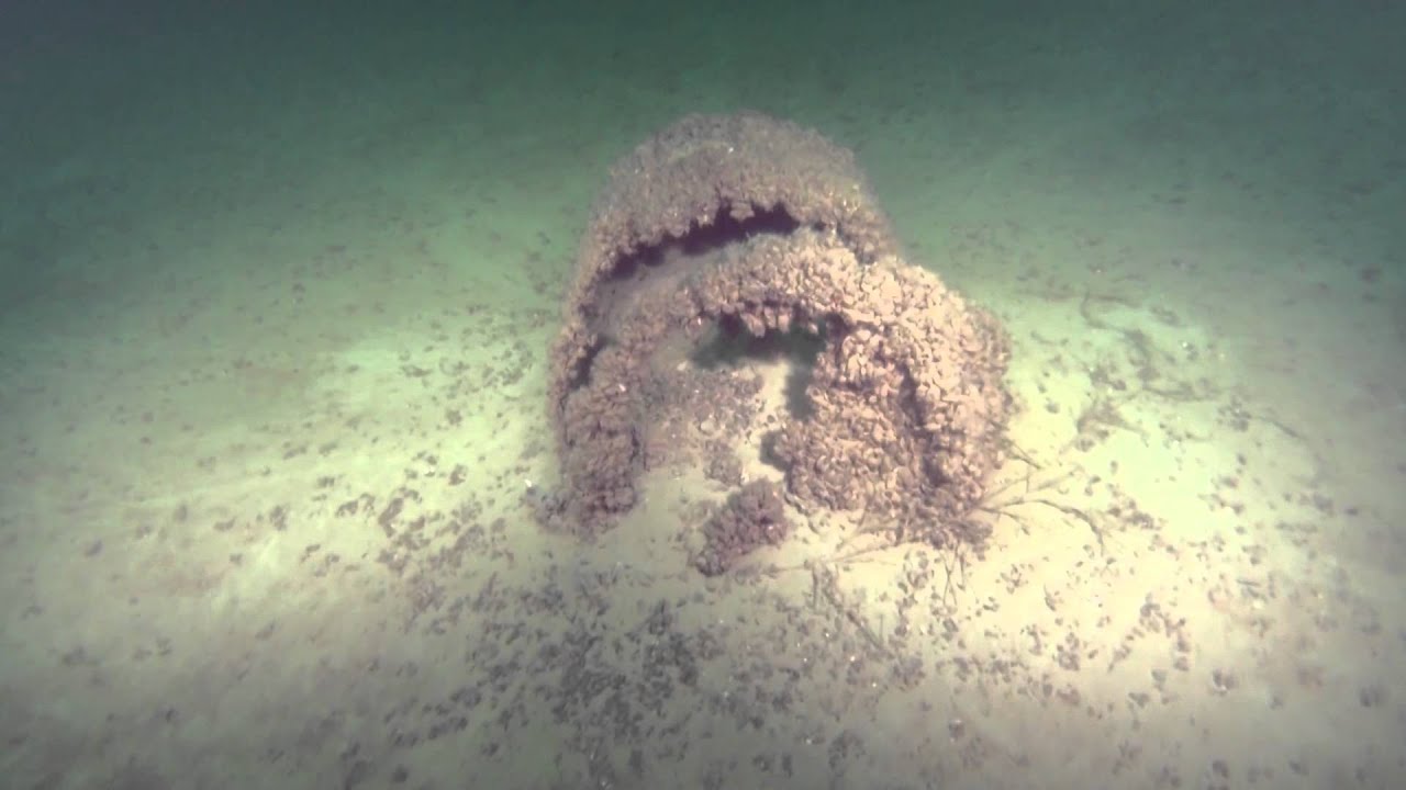 Tauchen im Bodensee - Lädine bei Bodman-Ludwigshafen - YouTube