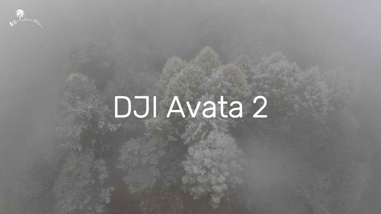 Avata 2 CRASH - Battle between Autumn and Winter - YouTube