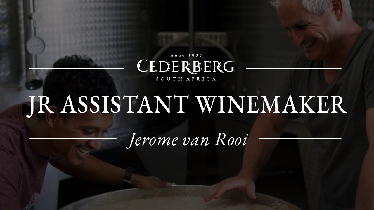 Introducing Jerome van Rooi, The Rising Winemaking Star - YouTube
