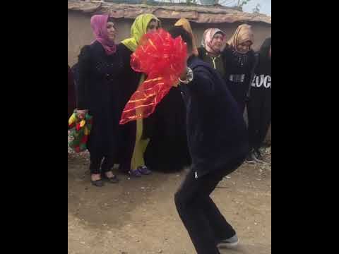 ●Delilo halay super aziz kibrit☆  iletişim @berkanozdmr01