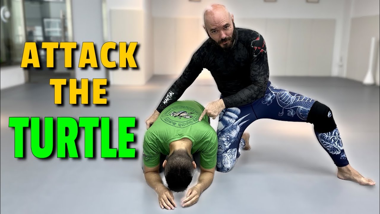 Turtle to Cradle to Backmount to Twister: grappling to control ...
