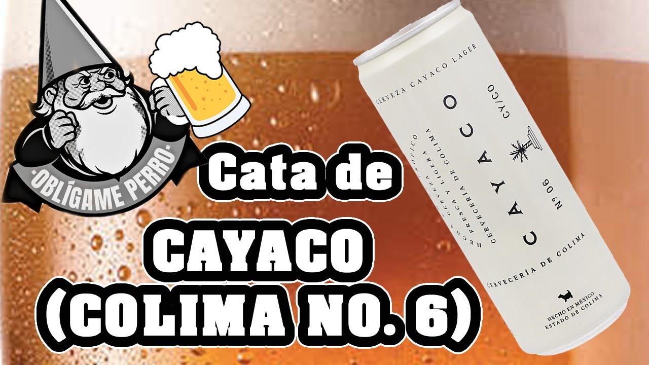 CERVEZA CAYACO CATA / REVIEW 🍺🍺🍺 - YouTube