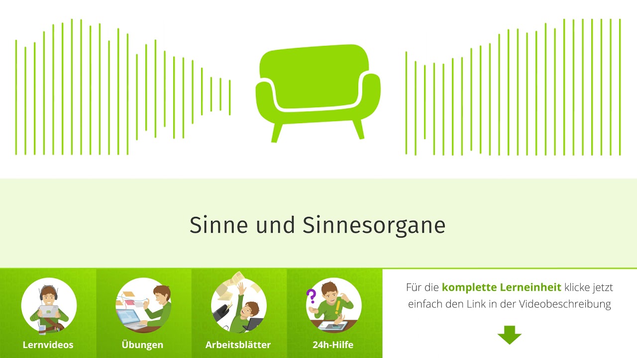 Sinne und Sinnesorgane einfach erklärt | sofatutor - YouTube