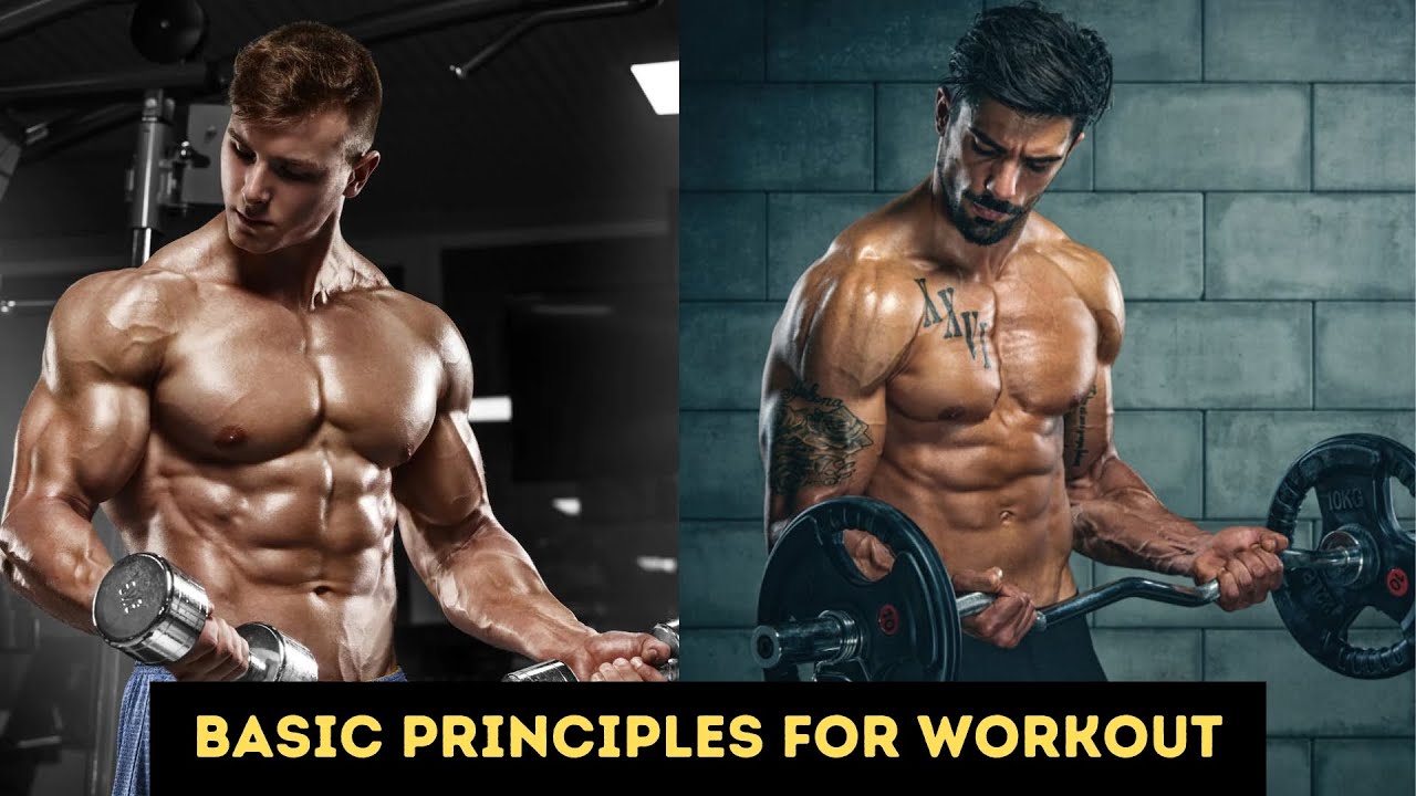 Basic Principles To Working Out Effectively - YouTube