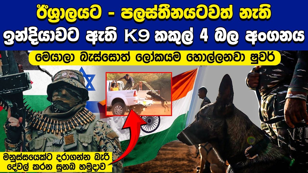 ඊශ්‍රාලයට - පලස්තීනයටවත් නැති ඉන්දියාවට විතරක් ඇති K9 කකුල් 4 බල අංගනය ...