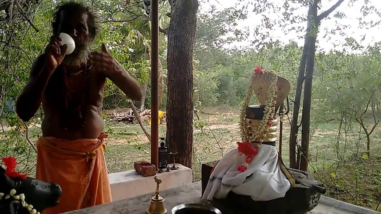 Annapoorni Temple Watrap 5 August 2016(4) - YouTube