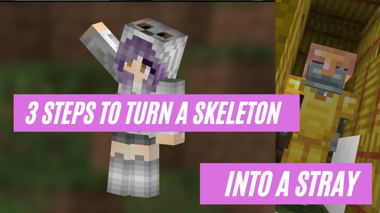 3 Easy Steps to Turn a Skeleton into a Stray in Minecraft - YouTube