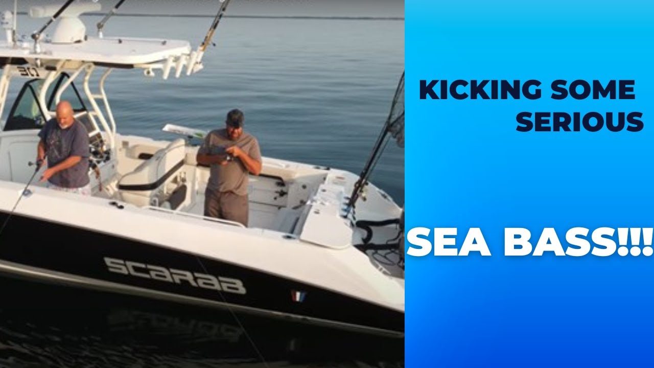 Sea Bass Attack - Fighting the Current and Big Sea Bass in the Long Island Sound! - YouTube