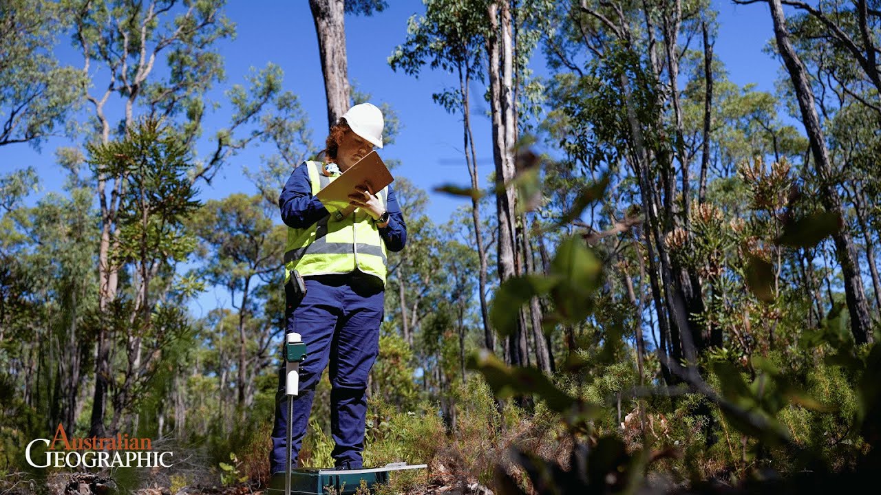 The Sound of Nature: What Eco-Acoustics Can Tell Us About the Planet ...