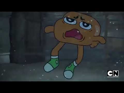 Darwin is sad and so am I😟 - YouTube