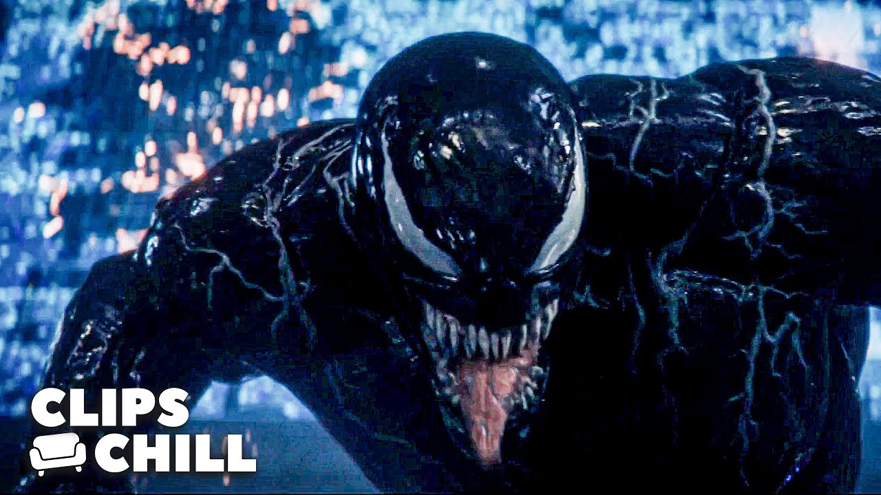 Venom Getting Swatted | Venom (Tom Hardy) - YouTube