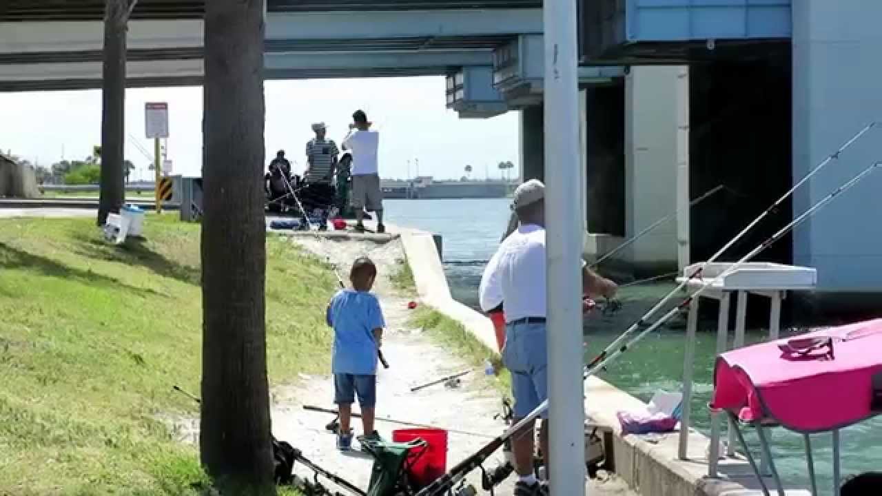 "Saltwater Fishing Paradise: Port Canaveral Shoreline Expedition" - YouTube