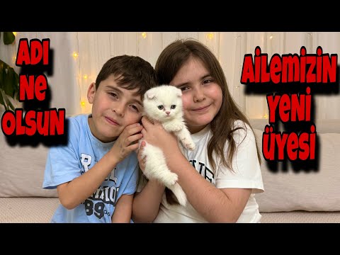 AİLEMİZE YENİ ÜYE GELİYOR!? KEDİMİZİ ALMAYA GİDİYORUZ !! İLK KARŞILAŞMA ?! 
