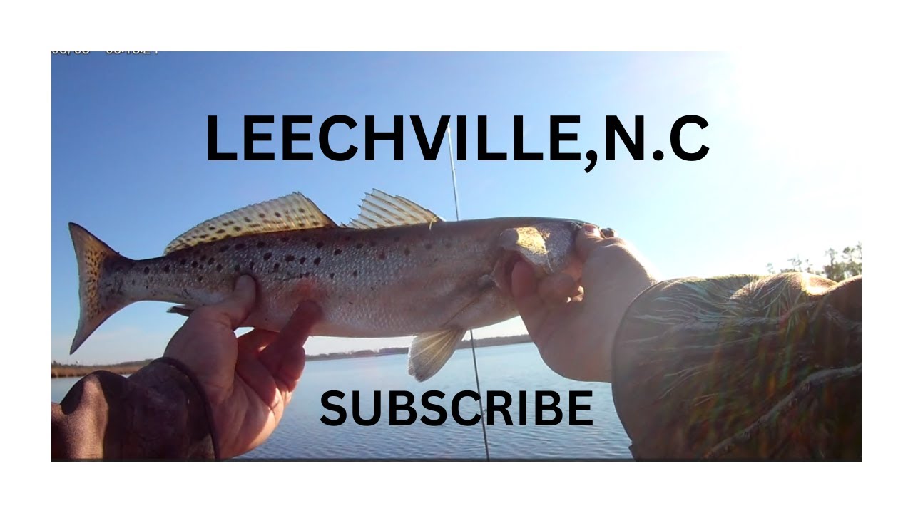 LEECHVILLE N C, - YouTube