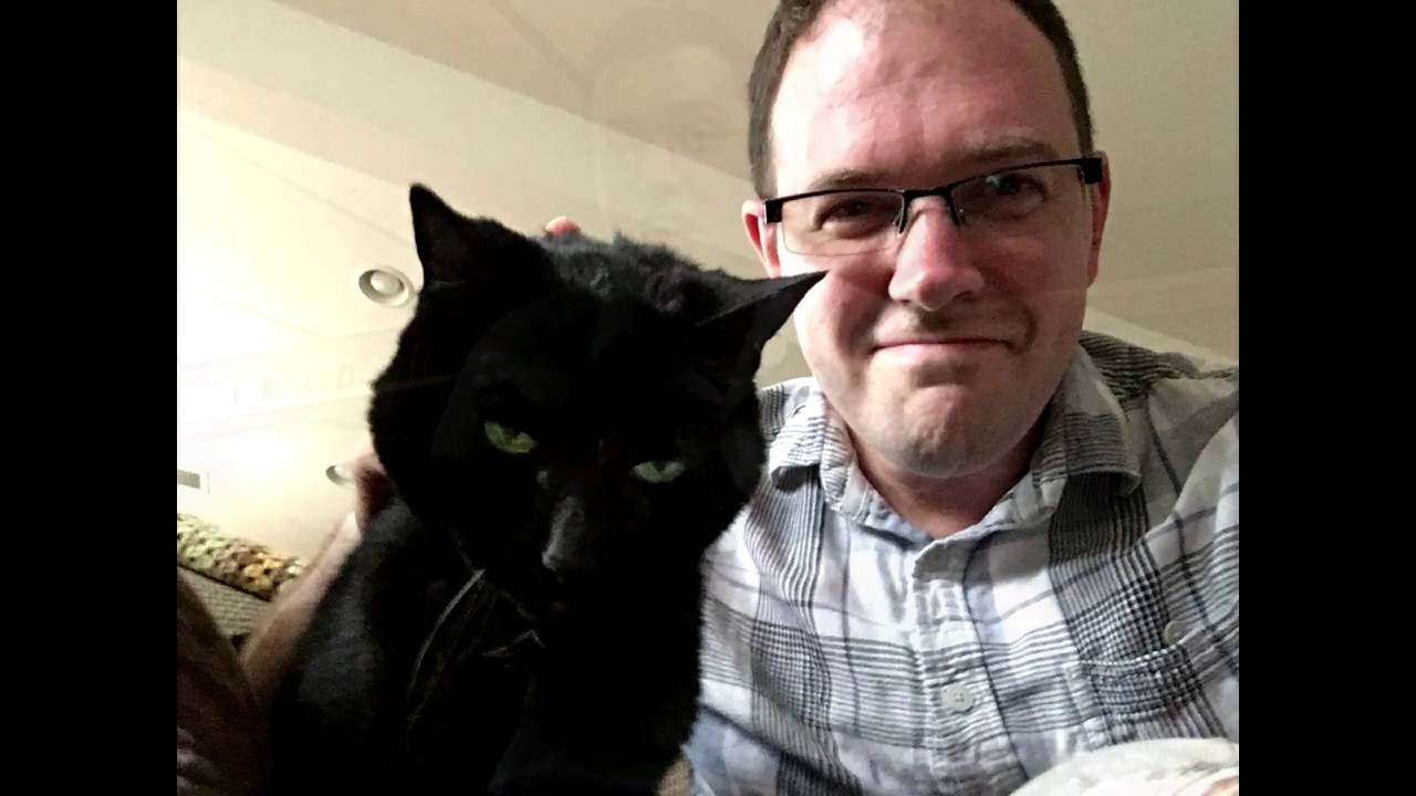 Rest in peace Boo (AVGN cat) - YouTube