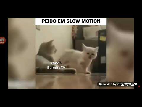 Segura esse peido EM CAMERA LENTA !!?