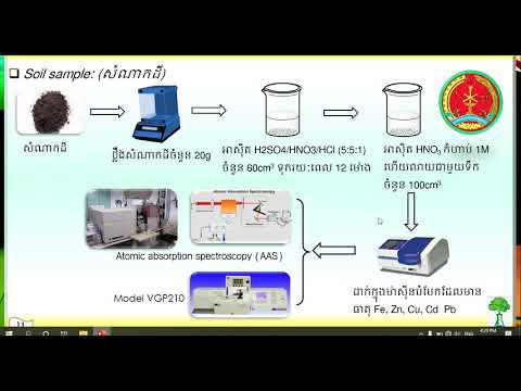 Heavy metals of cabbage in Phnom Penh - YouTube
