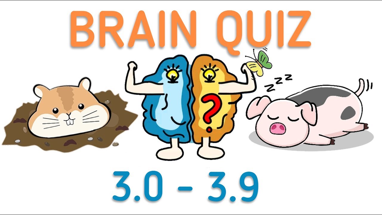 Brain Quiz Test Your Brain Level 3 0 To 3 9 YouTube brain-quiz-test-your-brain-level-3-0-to-3-9-youtube