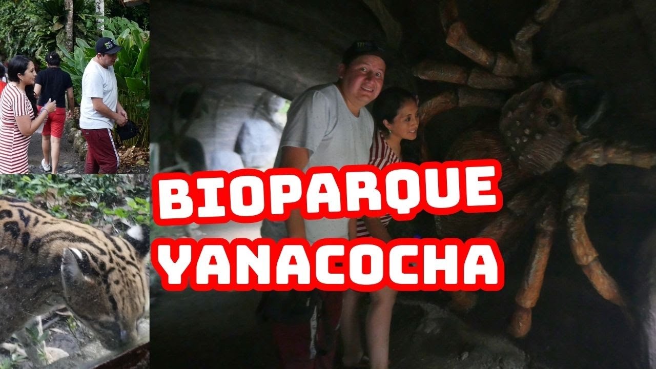BIOPARQUE YANACOCHA || Un paraíso en la amazonia del Ecuador - YouTube